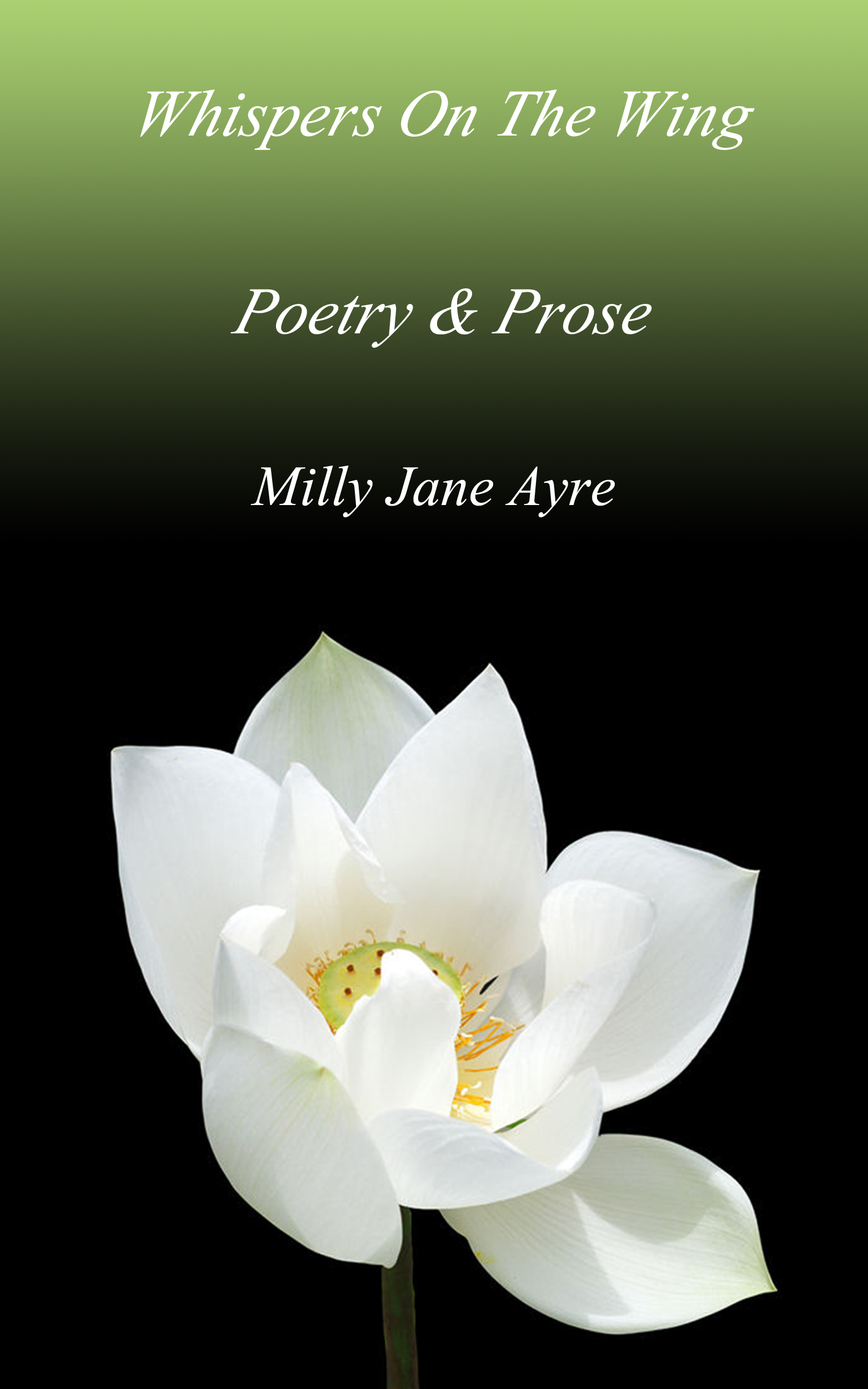 Publication Timeline – whispersonthewing.com